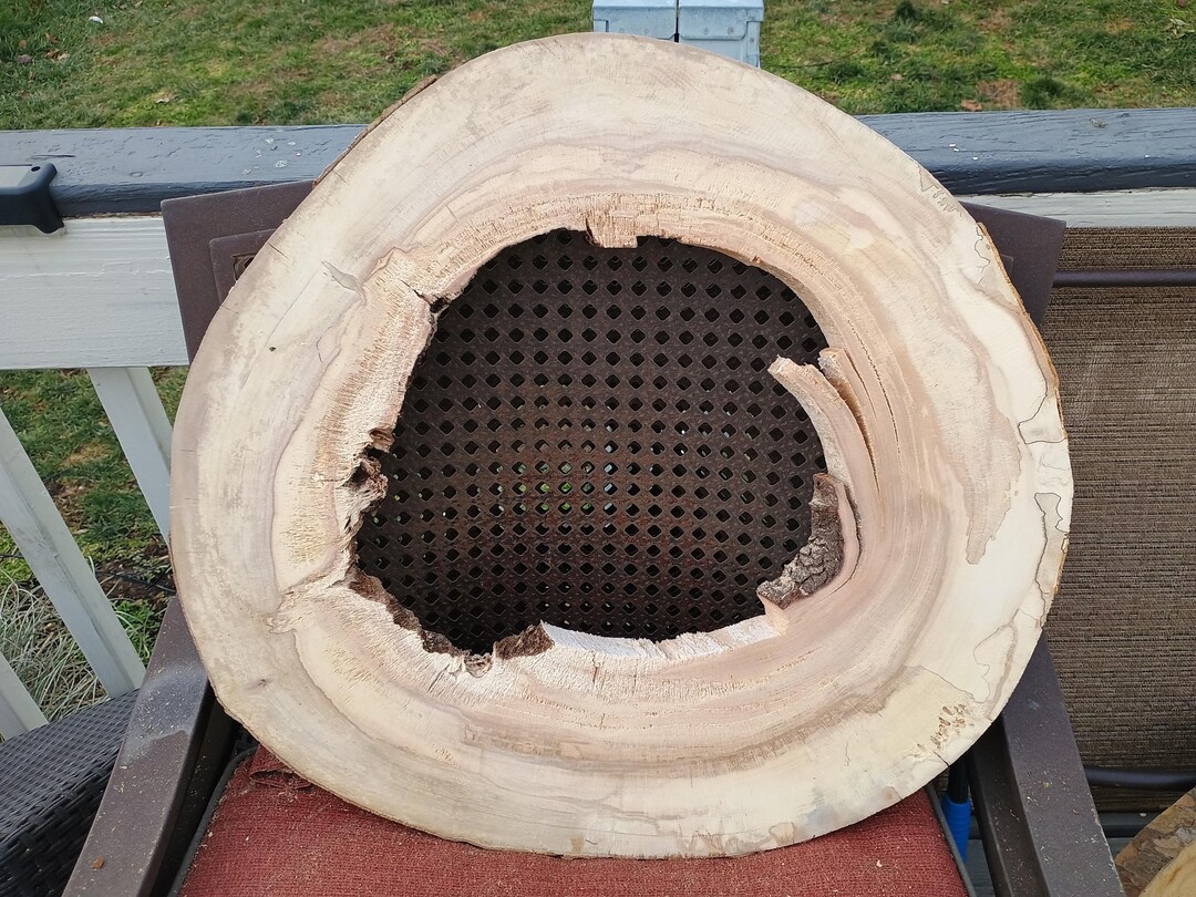 1.3/8by 22 Spalted Sycamore Tree Slice Hole Mirror Project Wood ...
