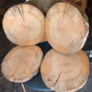 12.75 Set of 4 Spalted White Pine Tree Slice Wood Cookies Rounds End ...