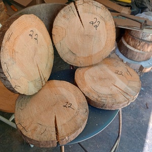 12.75 Set of 4 Spalted White Pine Tree Slice Wood Cookies Rounds End ...