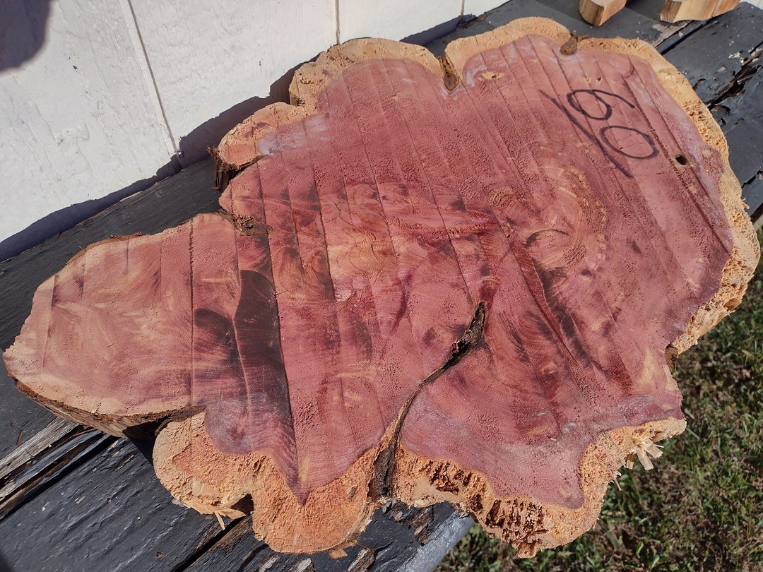 27.5 Flattened Spalted Cedar Tree Slice Unfinished - Etsy