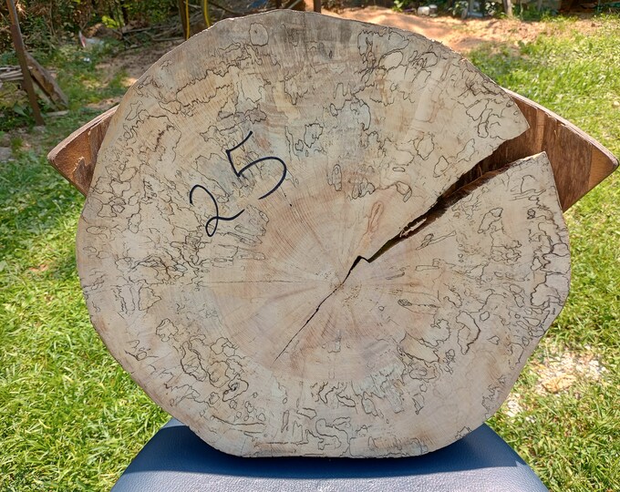 17.5 Flattened Spalted Silver Maple Tree Slice Wood Cookie Rounds Raw ...