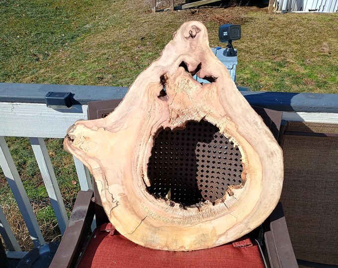 1.3/8"by 26" Spalted Sycamore Tree Slice Hole Mirror Project Wood ...