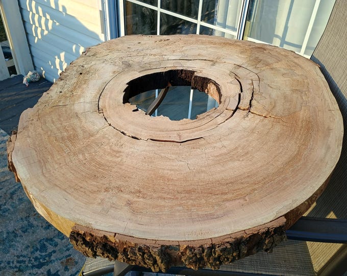 2.25"-30.5" Large Flattened Spalted Sycamore Tree Slice Wood Cookie ...