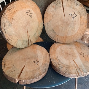 12.75 Set of 4 Spalted White Pine Tree Slice Wood Cookies Rounds End ...