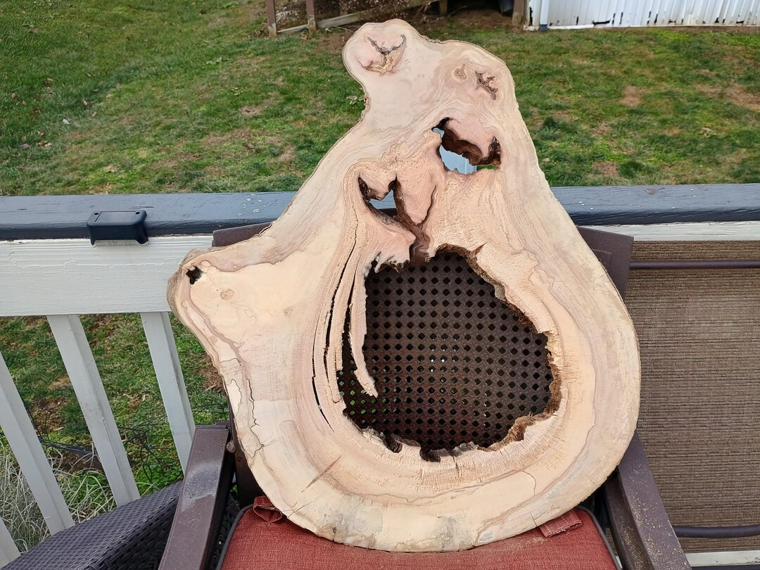1 3 8by 26 75 Spalted Sycamore Tree Slice Hole Mirror Project Wood