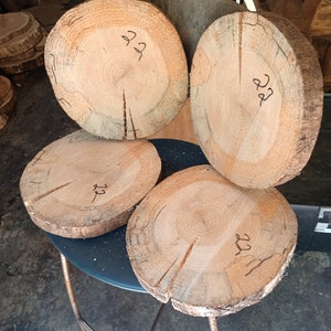 12.75 Set of 4 Spalted White Pine Tree Slice Wood Cookies Rounds End ...