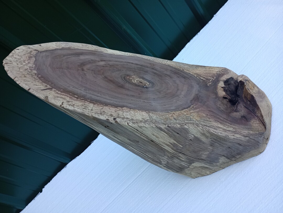 Walnut Tree Stump Diy Taxidermy Tree Slice Table Decor Raw Unfinished ...