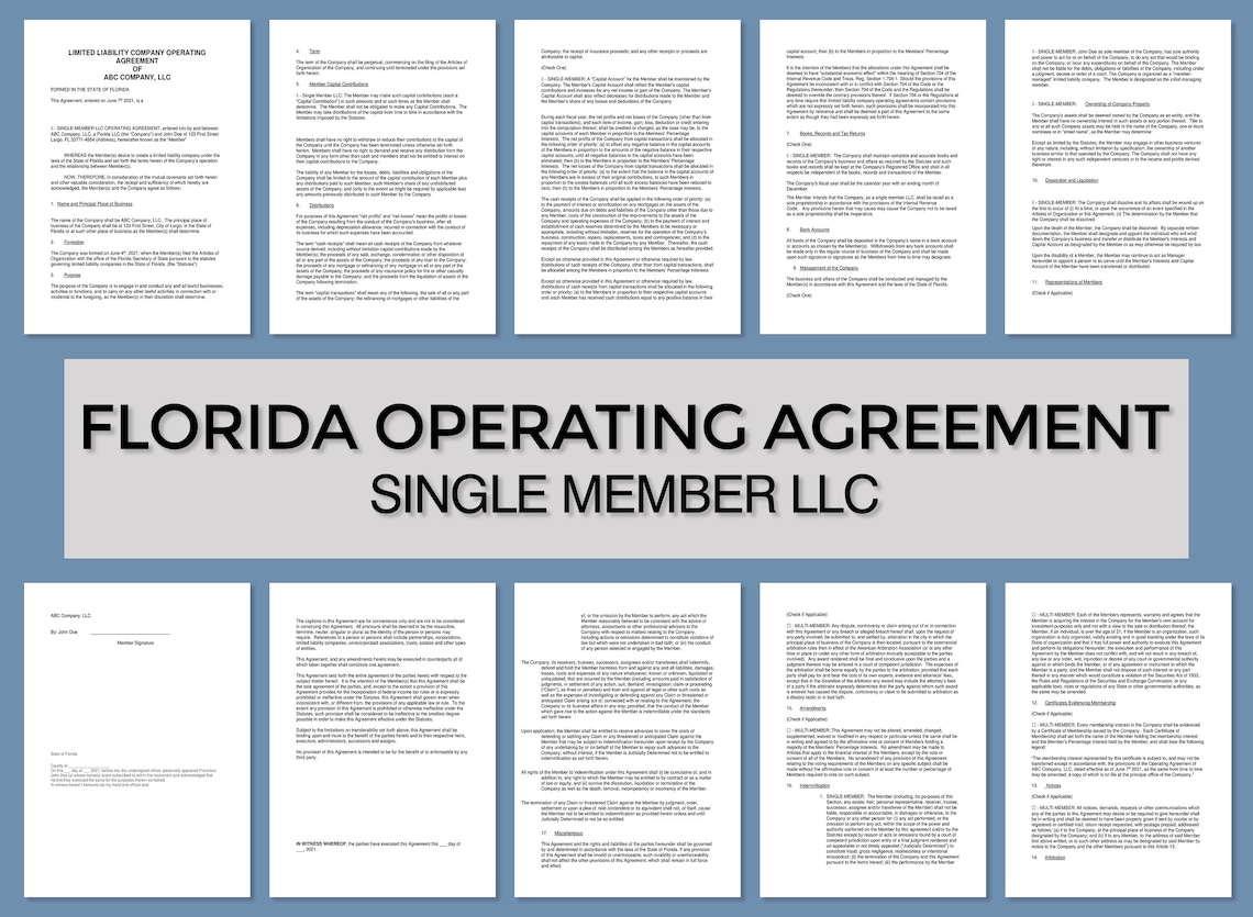 Florida Operating Agreement template LLC instant Download - Etsy