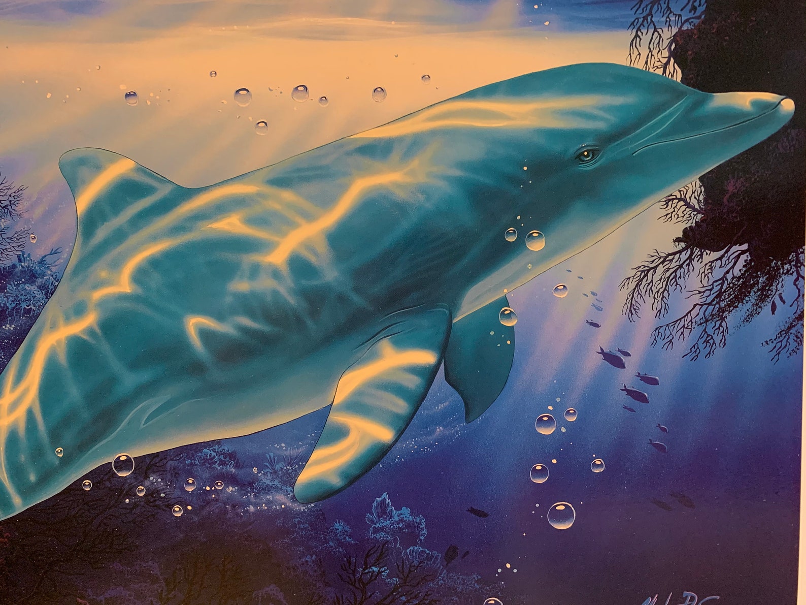 Dolphin - Christian Lassen - "dolphin Vision" - Blue Sea With Dolphin ...