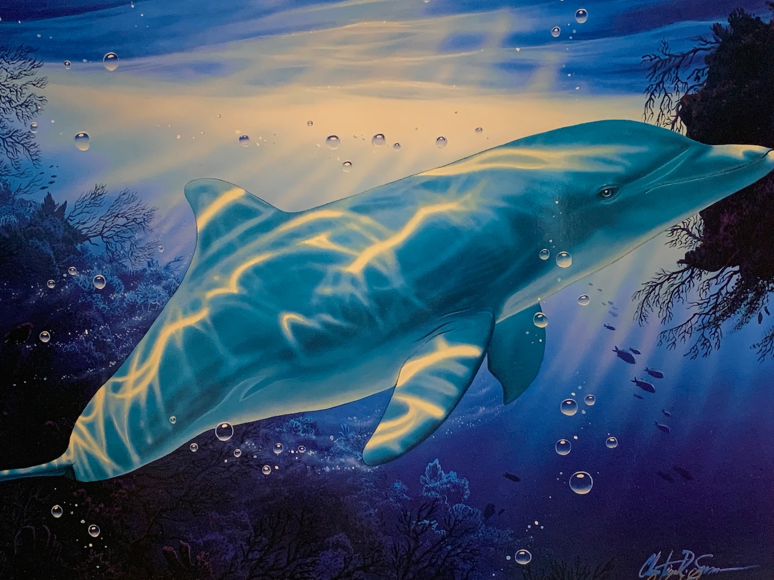 Dolphin - Christian Lassen - "dolphin Vision" - Blue Sea With Dolphin ...