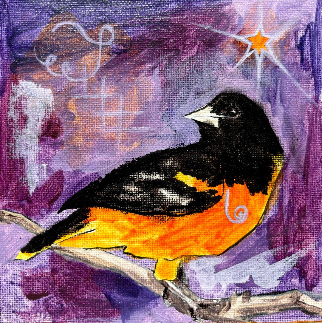 Baltimore Oriole Art Print: 'fire and Night' Mystical Bird Painting - Etsy