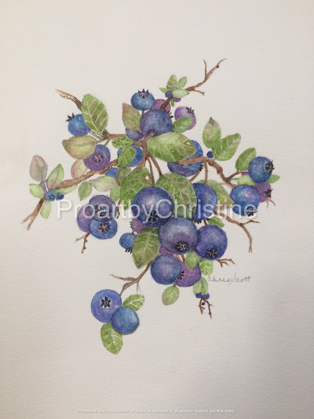 Hand Painted Blueberries Watercolor - Etsy