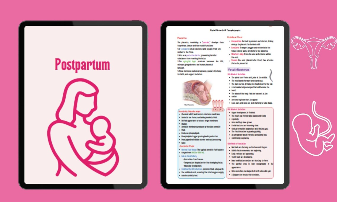 Maternity Nursing Study Guide | Pregnancy, Labor, Delivery, Newborn ...