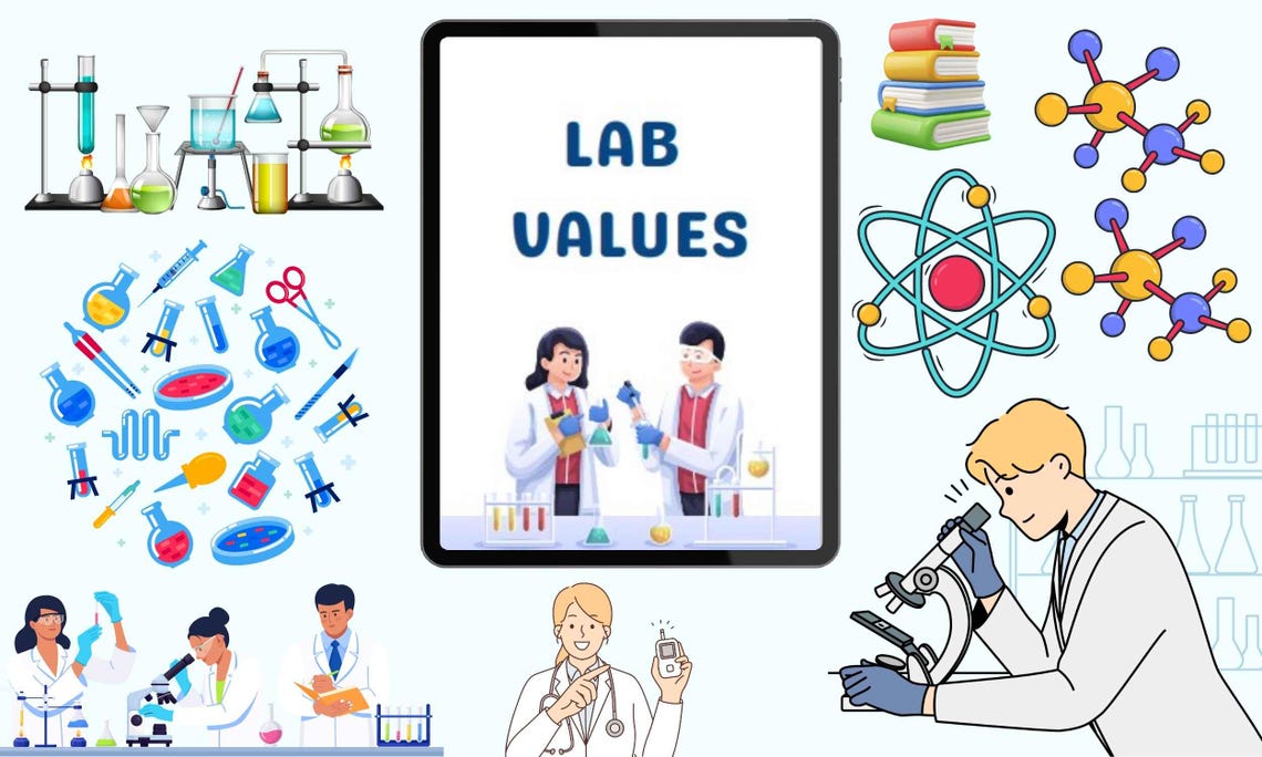 Fundamentals Focused | Comprehensive Nursing Study Guide | Abgs, Dosage ...