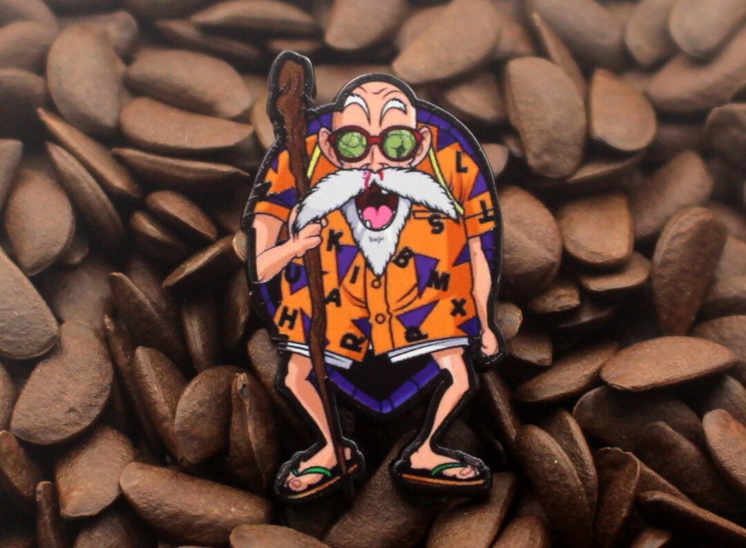 Kame Sennin Master Roshi Pin - Etsy