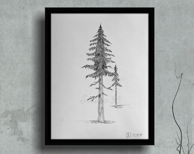 Tall Pine Tree Pen & Ink Printable Drawing, Downloadable Art, Digital ...