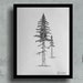 Tall Pine Tree Pen & Ink Printable Drawing, Downloadable Art, Digital ...