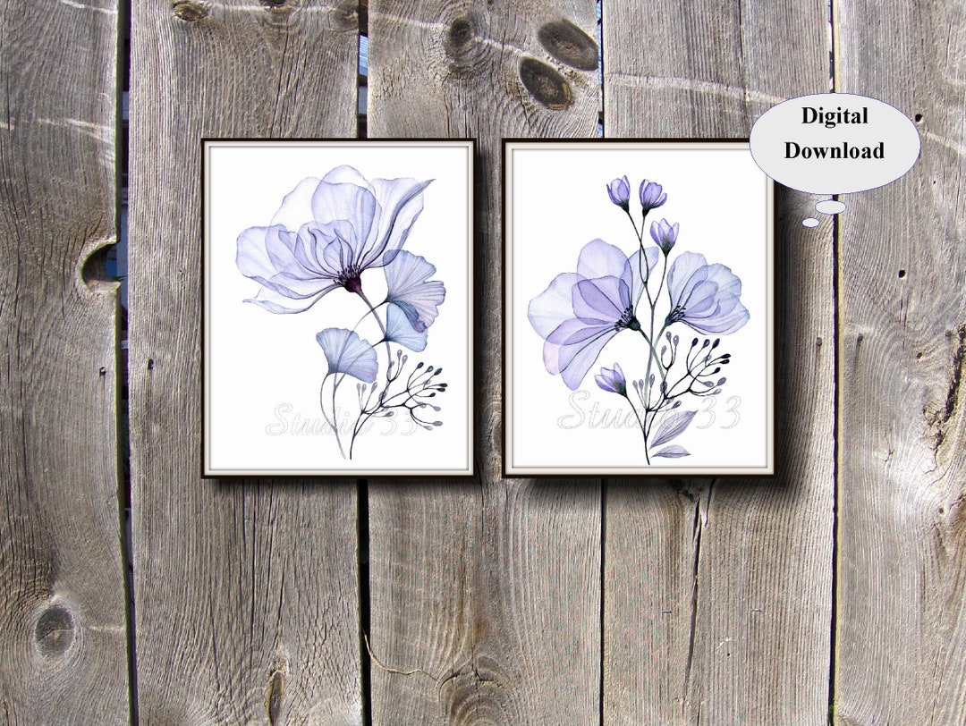 Downloadable X-ray Flower Prints, Downloadable Art Print Set of 2 ...
