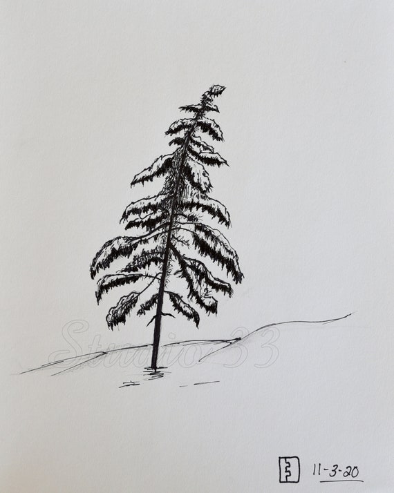 Snow Covered Pine Trees Drawing