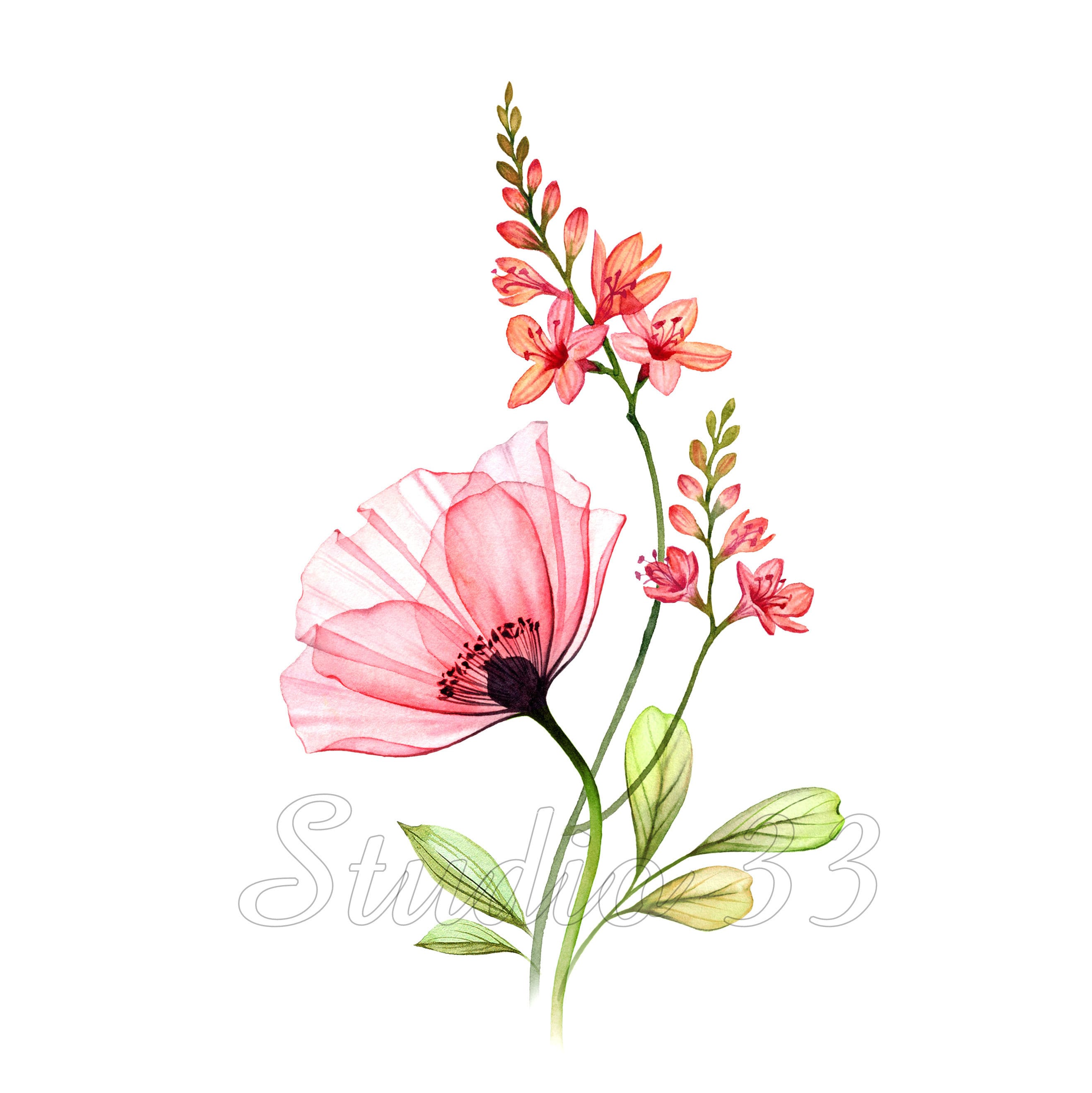 X-ray Flower Prints, Digital Image Downloadable Art Print Set of 4 ...