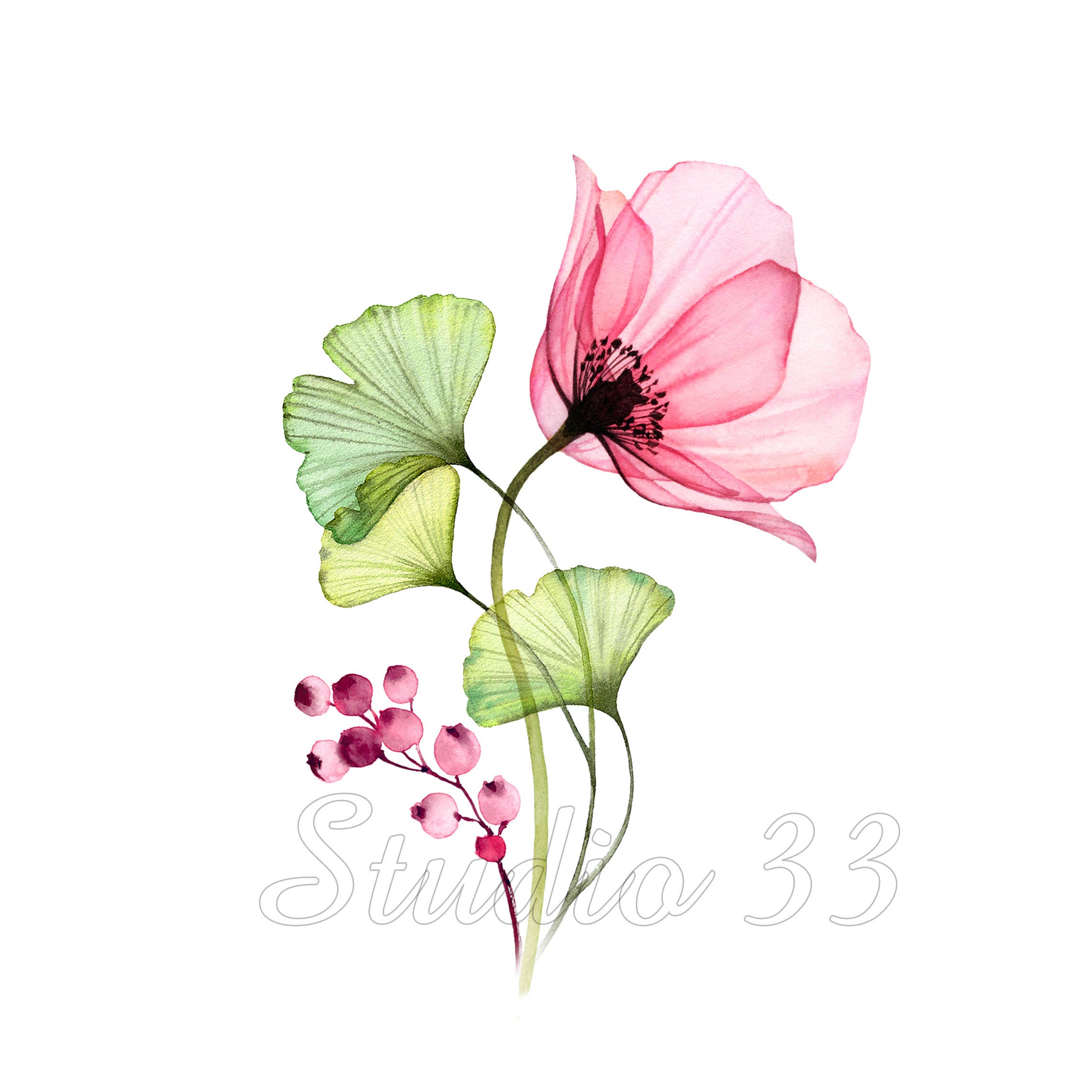 X-ray Flower Prints, Digital Image Downloadable Art Print Set of 4 ...
