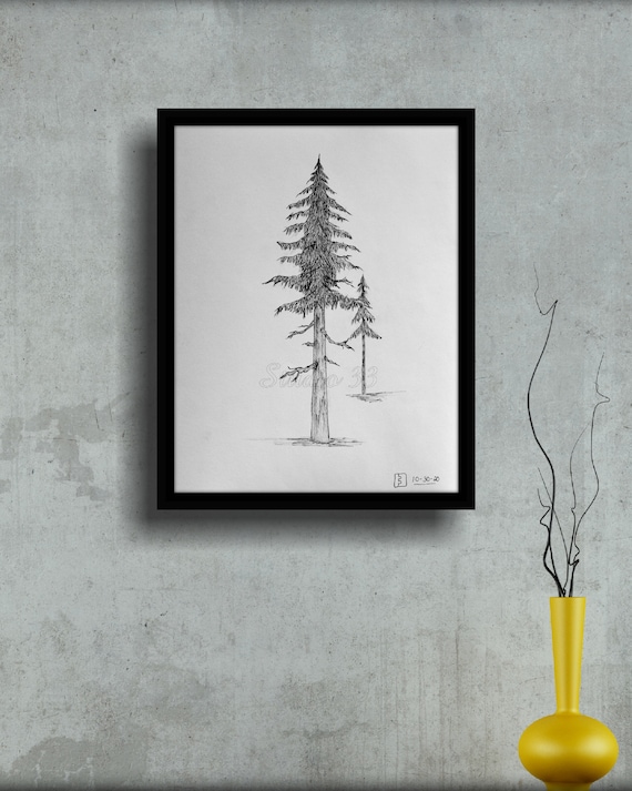 Ink Drawings Of Pine Trees