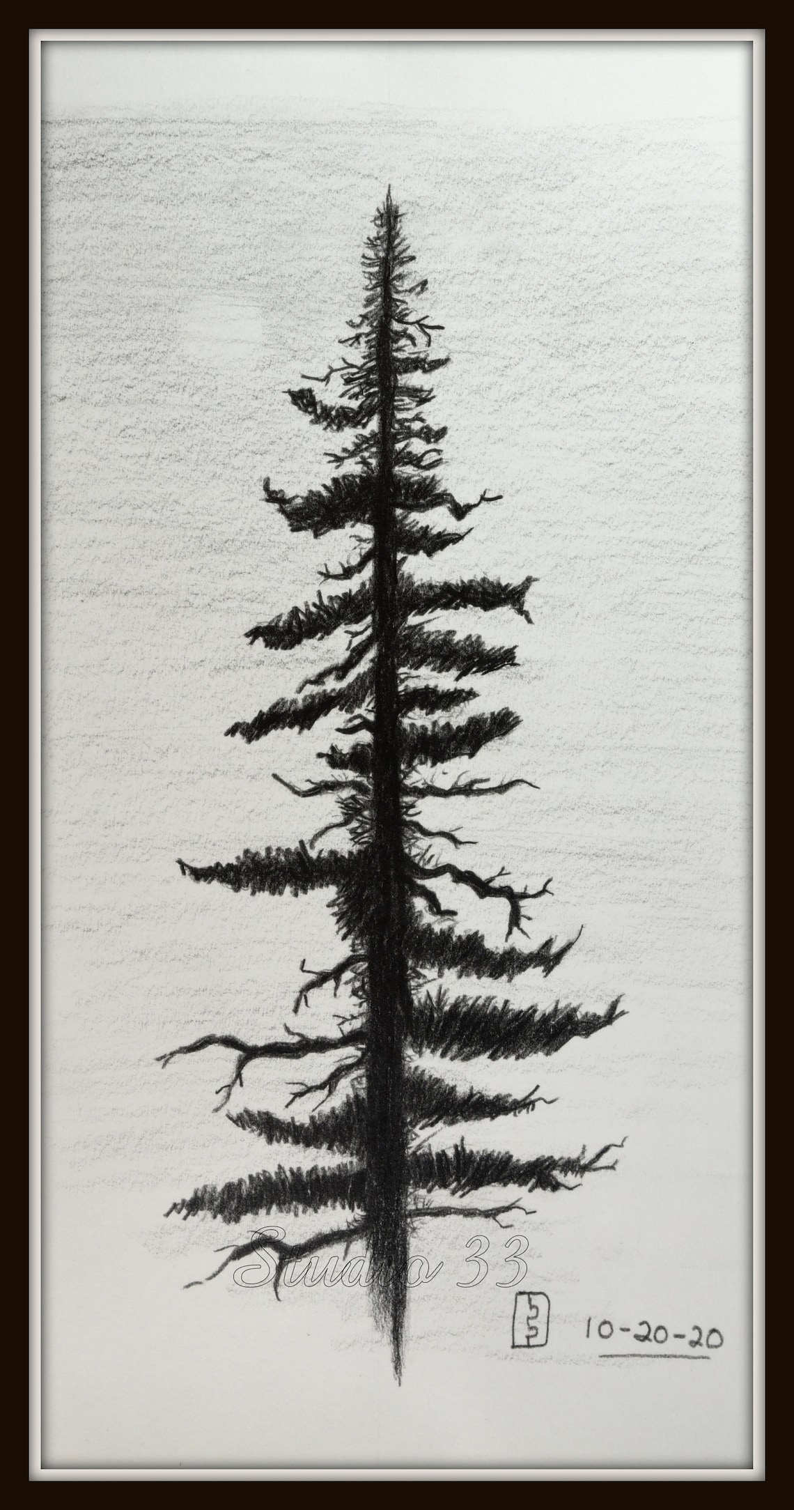 Pine Tree, Pen and Ink Drawing, Downloadable Art, Printable Digital ...