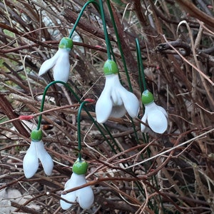 Decorative Ceramic Flowers (1 Pc) | Ceramic Snowdrop Flowers | Hand ...