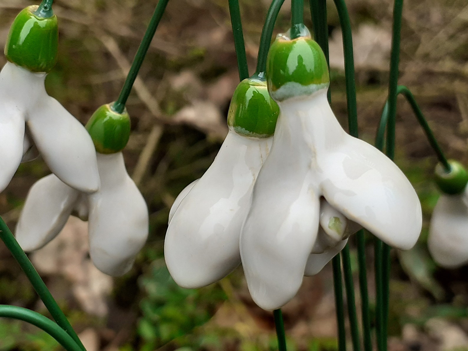 Decorative Ceramic Flowers (1 Pc) | Ceramic Snowdrop Flowers | Hand ...
