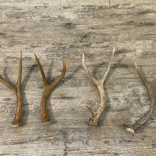 Faux Deer Antlers - Etsy