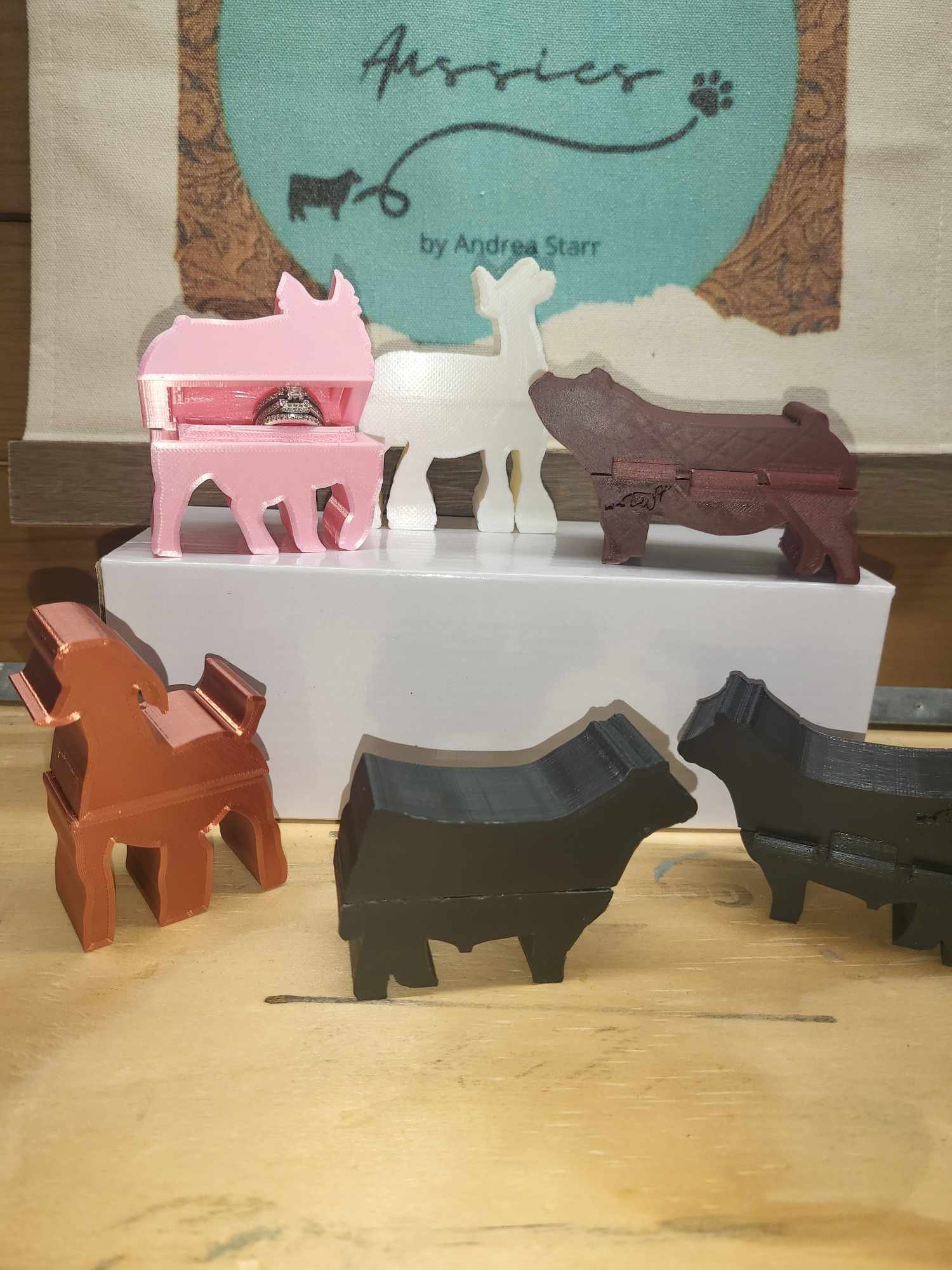 Livestock Gift Box, Show Steer, Heifer, Pig, Lamb, Goat, Tooth Fairy ...