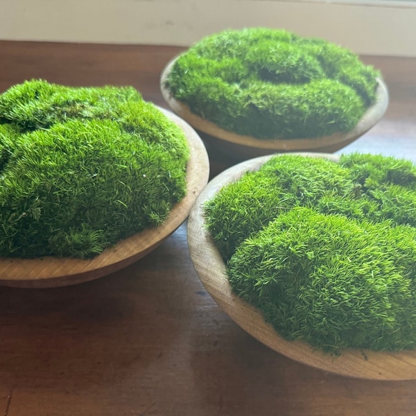Moss Table Decor - Etsy