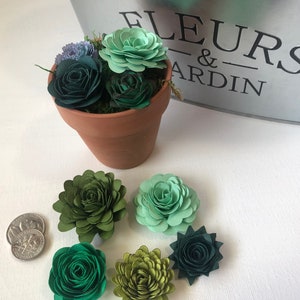 DIY Paper Succulents. Ready to Create! Do It Yourself, Projects, Crafts ...