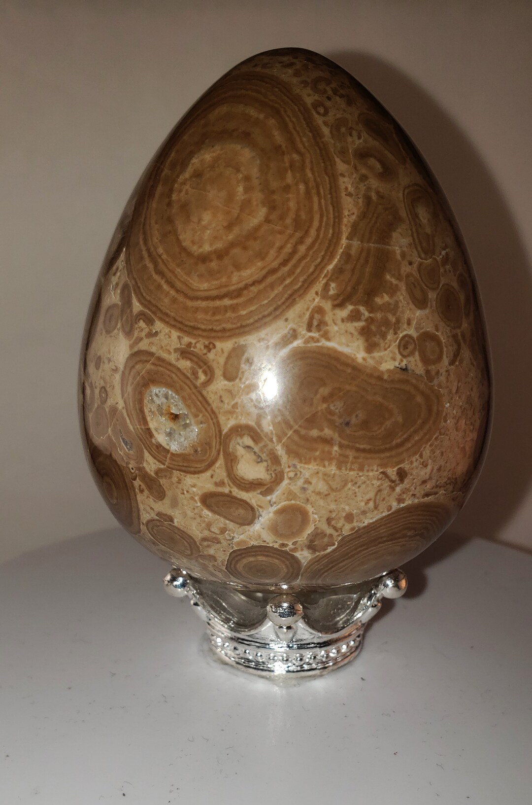 Fossilized Palm Root Agate Gemstone Egg Polished 2.5"x2.25" Root Lines ...