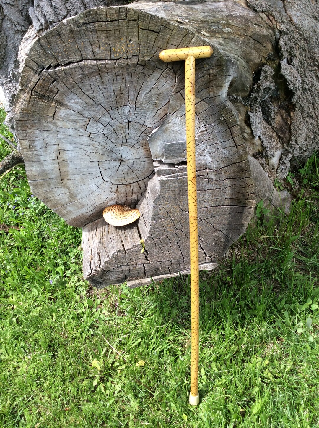 Handcrafted Decorative Walking Cane 35 or 88 Cm, Can Be Cut to Desired ...