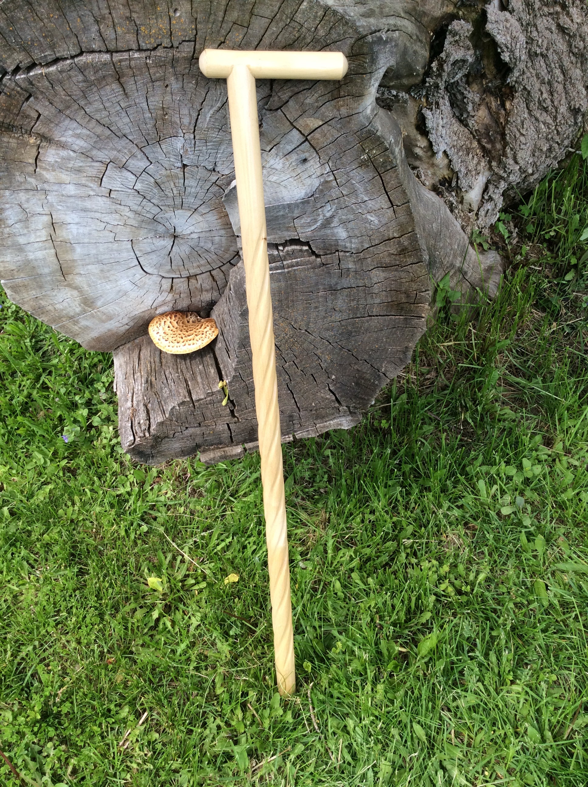 Handcrafted Decorative Walking Cane 35 or 89 Cm - Etsy