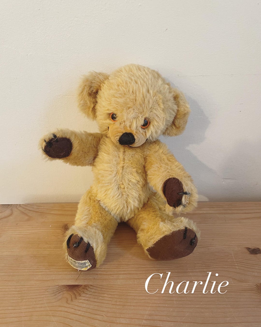 Charlie Vintage Cheeky Merrythought Bear Old Label - Etsy