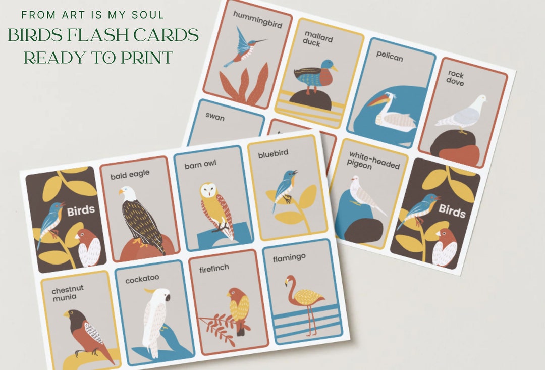 Digital Colorful Birds Flashcards - Etsy