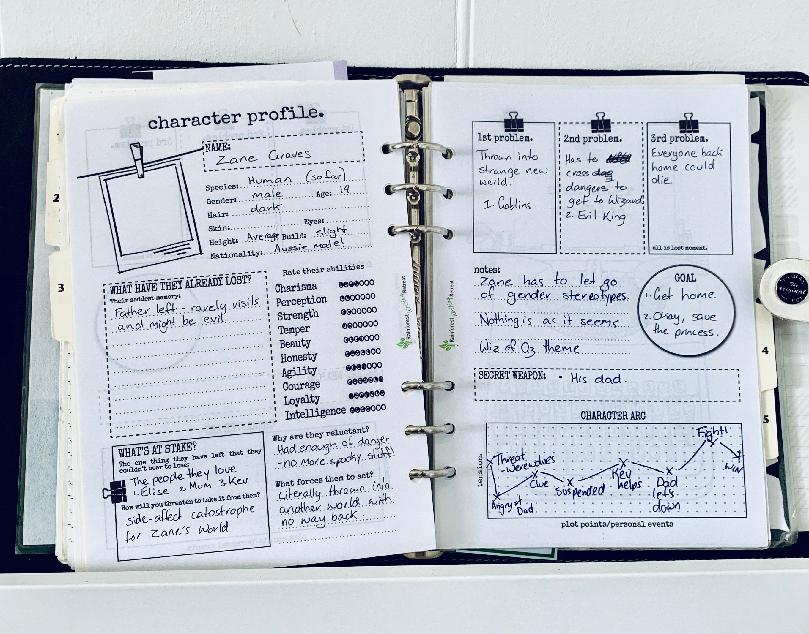 Write Your Novel Character Outlines How to Write A5 Inserts or Use With ...
