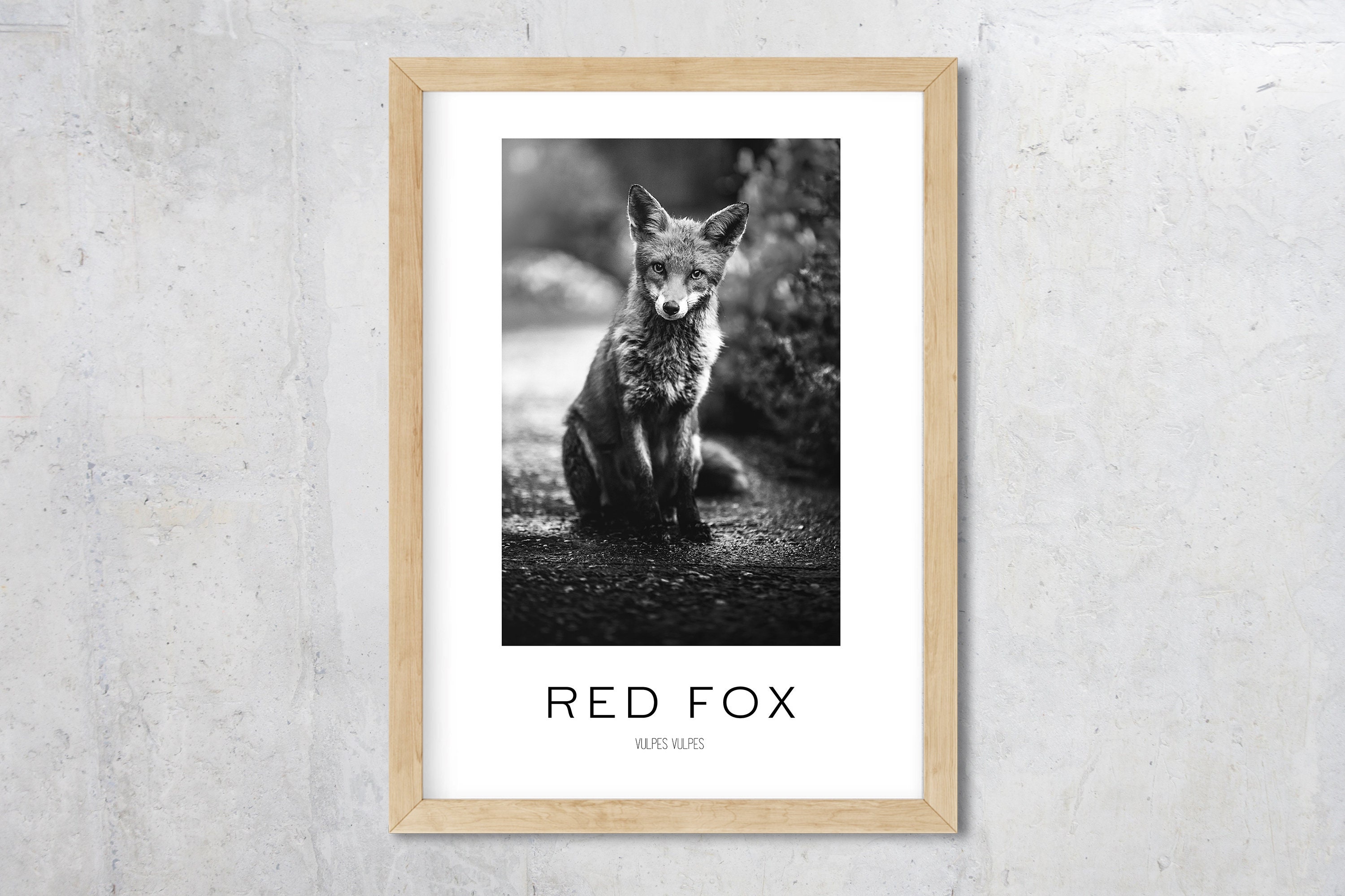 DIGITAL: Fox Print Fox Poster Fox Wall Art Fox Wall - Etsy