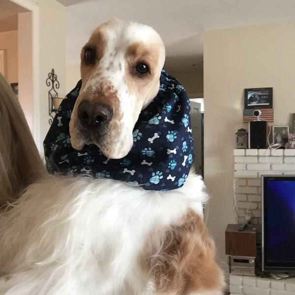 Dog Ear Warmer - Etsy