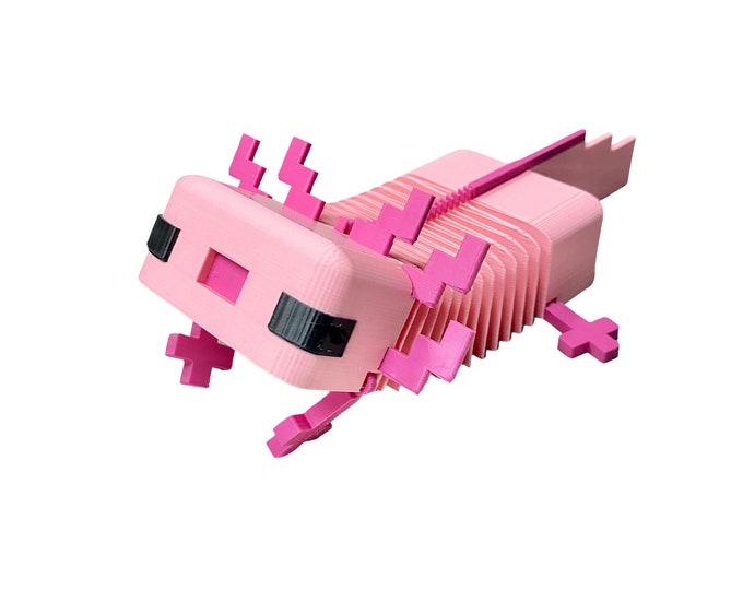 Pixelated Axolotl Fidget Toy - Etsy