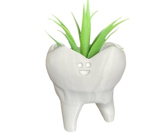 Tooth Pot Planter - Etsy