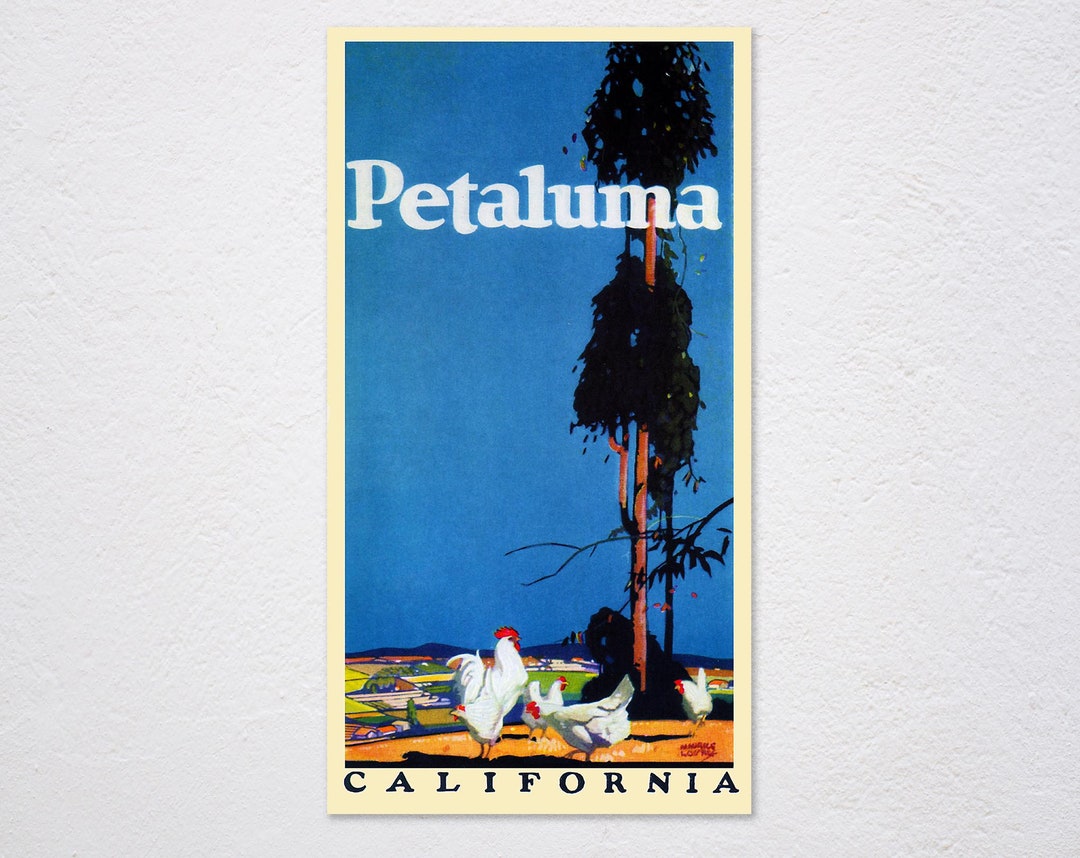 Petaluma Chicken Breeds Poultry Eggs Farms Sonoma California Usa ...