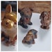 Dogs, Set of Four Dogs and a Paw, Miniature Set of Dogs, Dogs for ...