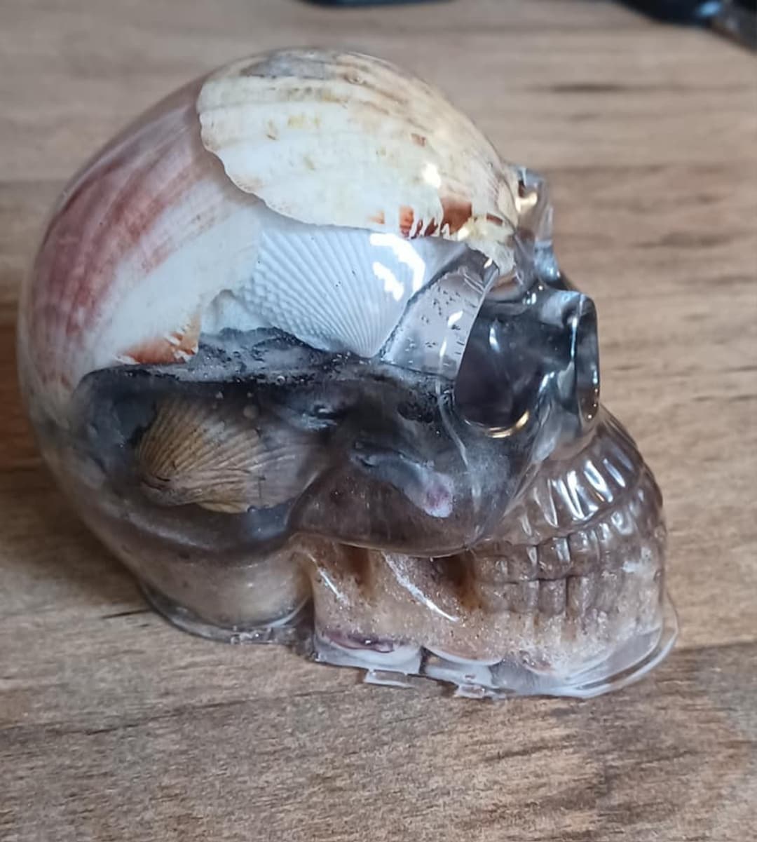 Unique Resin Skull Made With Real Sea Shells - Etsy