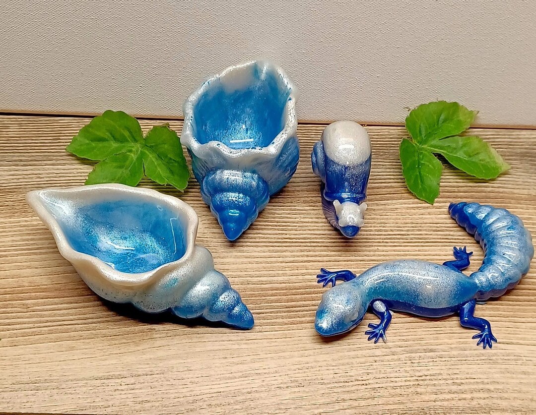 Conch Shell Jewellery Tray Holder Set, Leopard Gecko, Snail, Sea Shell ...