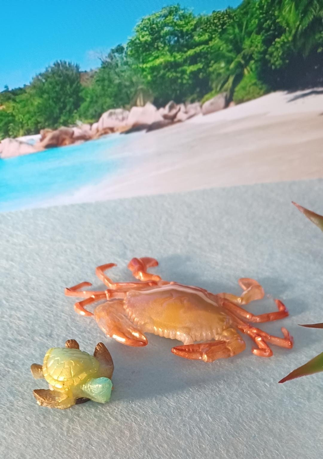 Refrigerator Magnets. Crab and a Sea Turtle. Set of 2 Adorable Magnets ...