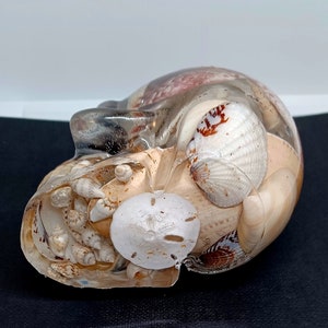 Unique Resin Skull Made With Real Sea Shells From Florida Beaches - Etsy
