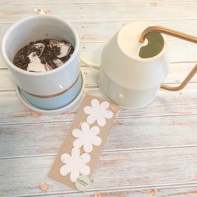 Plant Me Flower Confetti: Plantable Seed Paper 2 Inches in | Etsy